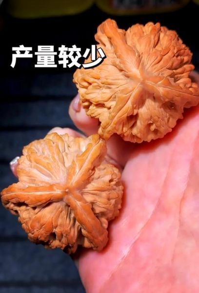 三枝梅核桃怎么盘玩_三枝梅核桃真假辨别-第2张图片-山城妙识