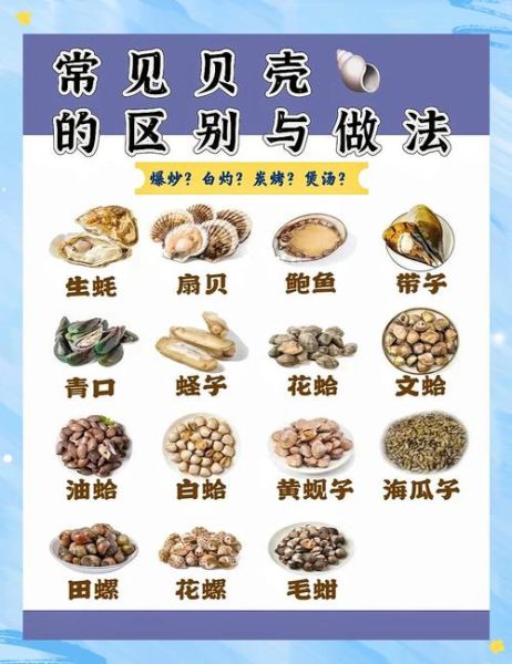 贝壳类海鲜有哪些_如何挑选最新鲜的贝壳-第2张图片-山城妙识