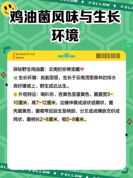 鸡油菌的功效与作用_鸡油菌怎么吃最营养-第1张图片-山城妙识