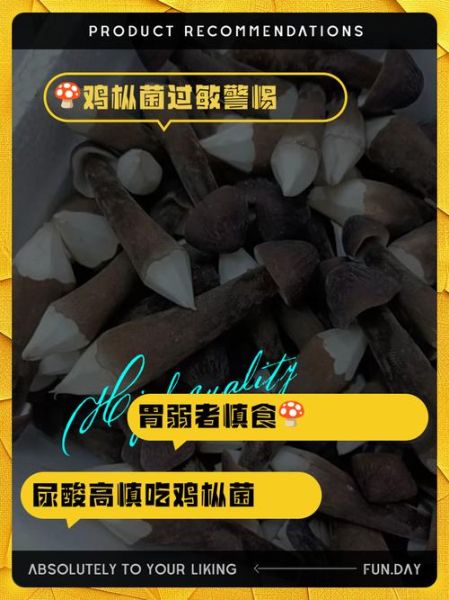 鸡枞菌哪些人不能吃_鸡枞菌禁忌人群-第1张图片-山城妙识