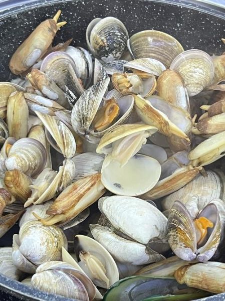 花甲怎么清洗干净_花甲家常做法步骤-第2张图片-山城妙识