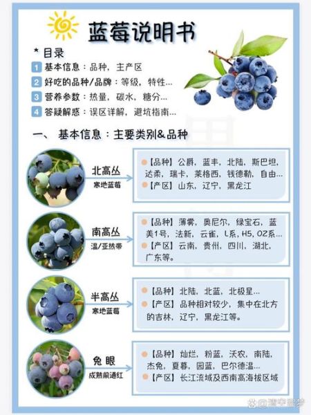 蓝莓的功效与作用_蓝莓一天吃多少合适-第1张图片-山城妙识