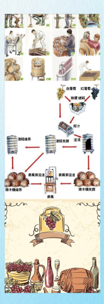 葡萄酒的制作方法_葡萄酒酿造步骤-第2张图片-山城妙识 葡萄酒的制作方法_葡萄酒酿造步骤-第2张图片-山城妙识