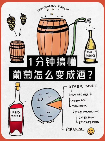 葡萄酒的制作方法_葡萄酒酿造步骤-第3张图片-山城妙识 葡萄酒的制作方法_葡萄酒酿造步骤-第3张图片-山城妙识