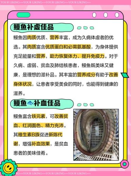 鳗鱼为什么不能多吃_吃多了有什么危害-第3张图片-山城妙识 鳗鱼为什么不能多吃_吃多了有什么危害-第3张图片-山城妙识