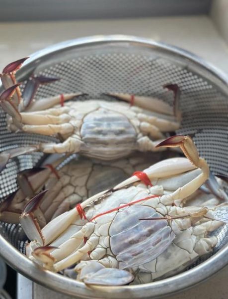 梭子蟹蒸几分钟_清蒸梭子蟹最佳时间-第1张图片-山城妙识 梭子蟹蒸几分钟_清蒸梭子蟹最佳时间-第1张图片-山城妙识