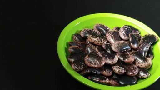 奶花豆长什么样_奶花豆和芸豆区别-第1张图片-山城妙识 奶花豆长什么样_奶花豆和芸豆区别-第1张图片-山城妙识