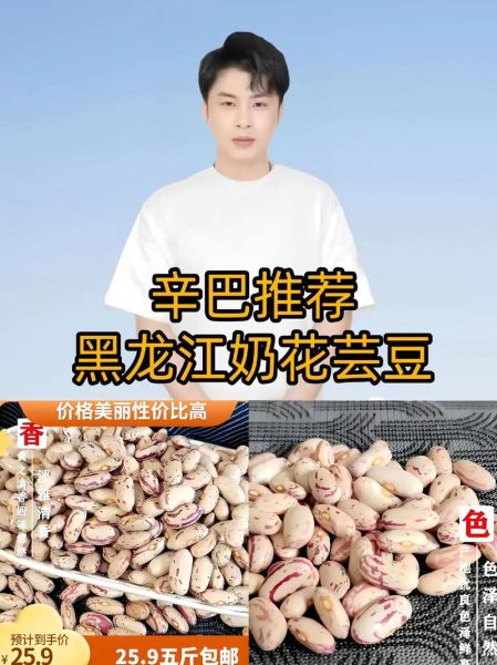 奶花豆长什么样_奶花豆和芸豆区别-第3张图片-山城妙识 奶花豆长什么样_奶花豆和芸豆区别-第3张图片-山城妙识