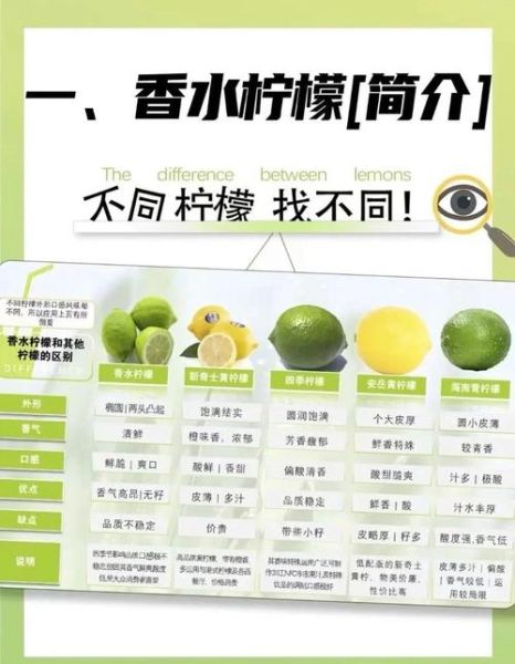 柠檬是酸性还是碱性_柠檬水是酸性还是碱性-第1张图片-山城妙识 柠檬是酸性还是碱性_柠檬水是酸性还是碱性-第1张图片-山城妙识