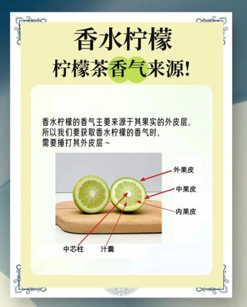 柠檬是酸性还是碱性_柠檬水是酸性还是碱性-第3张图片-山城妙识 柠檬是酸性还是碱性_柠檬水是酸性还是碱性-第3张图片-山城妙识