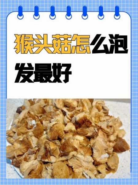 干猴头菇怎么泡发_猴头菇泡发多久-第3张图片-山城妙识