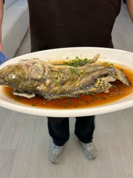 臭桂鱼可以清蒸吗_清蒸臭桂鱼做法-第1张图片-山城妙识 臭桂鱼可以清蒸吗_清蒸臭桂鱼做法-第1张图片-山城妙识