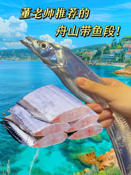 舟山带鱼多少钱一斤_舟山带鱼价格走势-第1张图片-山城妙识