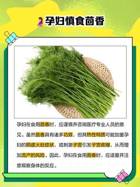 茴香苗什么人不能吃_茴香苗禁忌有哪些-第1张图片-山城妙识 茴香苗什么人不能吃_茴香苗禁忌有哪些-第1张图片-山城妙识