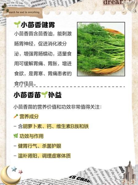 茴香苗什么人不能吃_茴香苗禁忌有哪些-第2张图片-山城妙识 茴香苗什么人不能吃_茴香苗禁忌有哪些-第2张图片-山城妙识