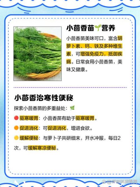 茴香苗什么人不能吃_茴香苗禁忌有哪些-第3张图片-山城妙识 茴香苗什么人不能吃_茴香苗禁忌有哪些-第3张图片-山城妙识