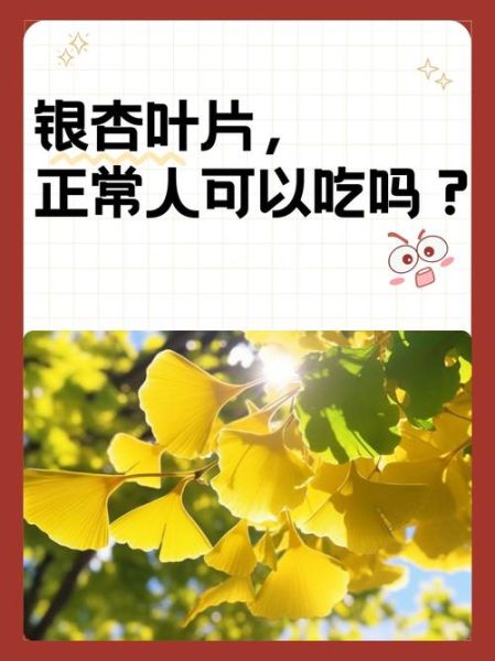 银杏的功效与作用禁忌_银杏叶能长期吃吗-第1张图片-山城妙识