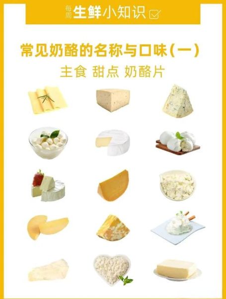 酸奶酪怎么做_酸奶酪和奶酪区别-第3张图片-山城妙识