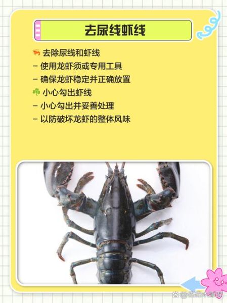 澳洲龙虾怎么清洗_澳洲龙虾清洗步骤-第1张图片-山城妙识
