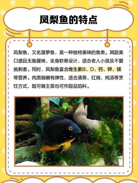 菠萝鱼能长多大_菠萝鱼最大能长多少厘米-第1张图片-山城妙识