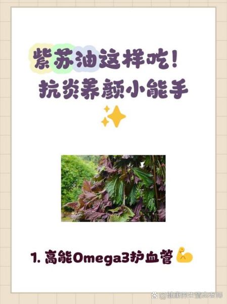 紫苏油不能和什么一起吃_紫苏油副作用有哪些-第2张图片-山城妙识