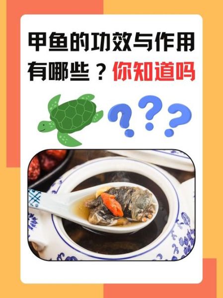 甲鱼功效与作用_甲鱼适合什么人吃-第3张图片-山城妙识