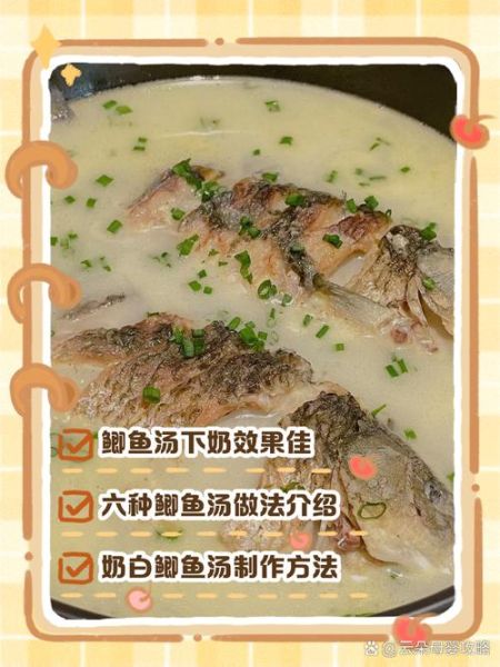 产妇鲫鱼豆腐汤下奶吗_鲫鱼豆腐汤怎么做最下奶-第2张图片-山城妙识