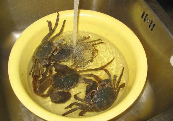 飞蟹怎么保存_飞蟹能放多久-第3张图片-山城妙识