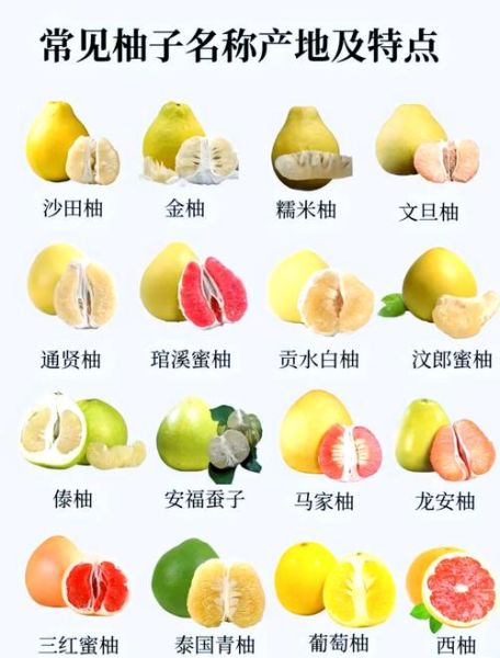 文旦和柚子的区别_文旦和柚子的功效一样吗-第3张图片-山城妙识 文旦和柚子的区别_文旦和柚子的功效一样吗-第3张图片-山城妙识