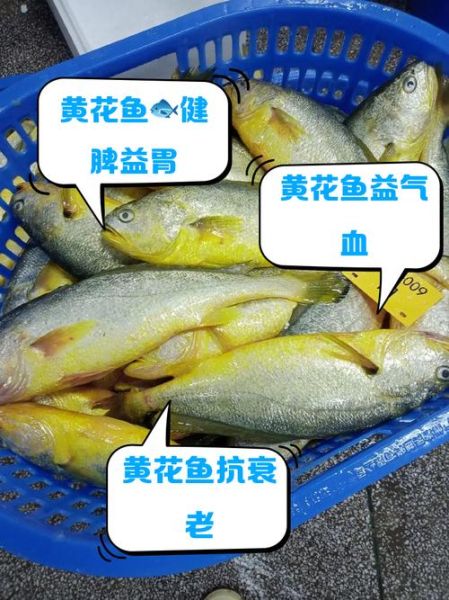 大黄鱼的营养价值_大黄鱼的功效与作用-第1张图片-山城妙识 大黄鱼的营养价值_大黄鱼的功效与作用-第1张图片-山城妙识