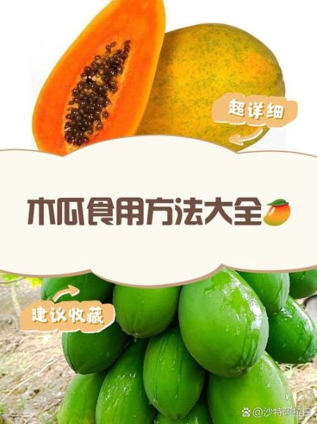 木瓜怎么吃最丰胸_木瓜酵素能减肥吗-第1张图片-山城妙识