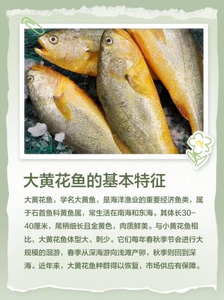 大黄鱼的营养价值_大黄鱼的功效与作用-第2张图片-山城妙识 大黄鱼的营养价值_大黄鱼的功效与作用-第2张图片-山城妙识