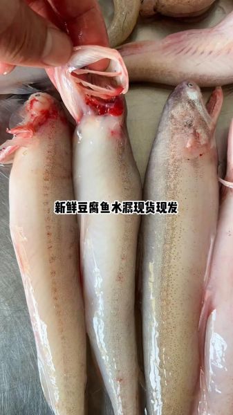 水潺多少钱一斤_水潺价格行情-第2张图片-山城妙识