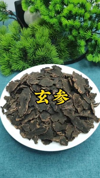 玄参长什么样_玄参图片怎么辨认-第1张图片-山城妙识