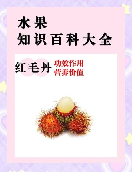 红毛丹怎么吃图解_红毛丹剥壳技巧-第2张图片-山城妙识 红毛丹怎么吃图解_红毛丹剥壳技巧-第2张图片-山城妙识