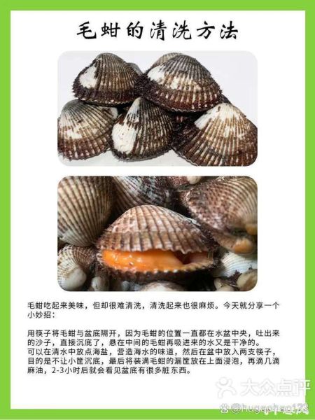 毛蛤蜊的营养价值_毛蛤蜊有哪些营养成分-第2张图片-山城妙识