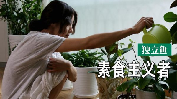 素食主义者电影片段_如何影响观众饮食习惯-第1张图片-山城妙识