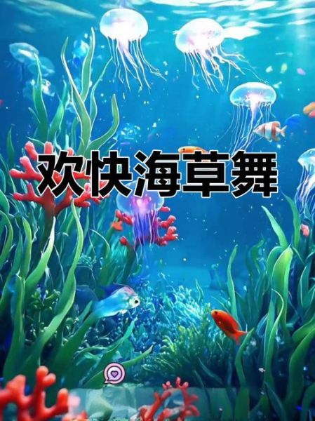 海草舞歌词含义_海草舞怎么跳-第3张图片-山城妙识