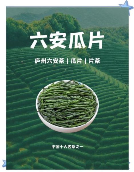六安瓜片500g多少钱_正宗六安瓜片价格表-第3张图片-山城妙识