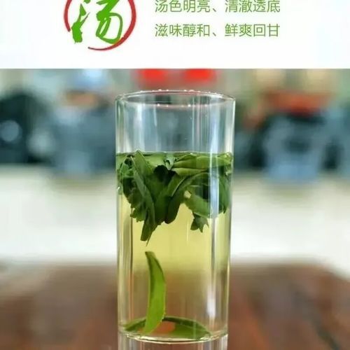 六安瓜片500g多少钱_正宗六安瓜片价格表-第2张图片-山城妙识