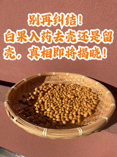 白果怎么去壳_白果去壳最简单的方法-第3张图片-山城妙识 白果怎么去壳_白果去壳最简单的方法-第3张图片-山城妙识