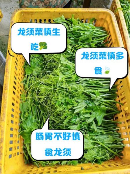 龙须菜中毒症状_龙须菜中毒怎么办-第1张图片-山城妙识 龙须菜中毒症状_龙须菜中毒怎么办-第1张图片-山城妙识