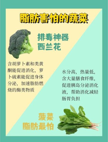 晚上吃什么蔬菜减肥_低卡蔬菜推荐-第2张图片-山城妙识 晚上吃什么蔬菜减肥_低卡蔬菜推荐-第2张图片-山城妙识