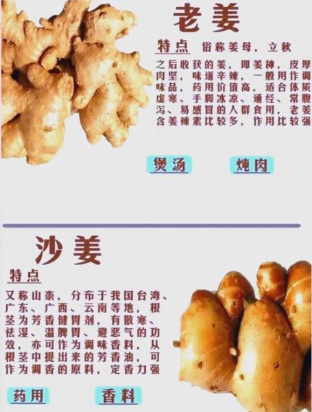 毛姜别名叫什么_毛姜与生姜区别-第1张图片-山城妙识