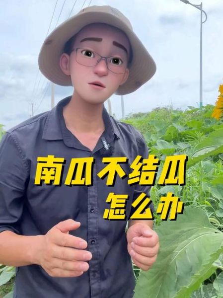 南瓜视频在线观看_南瓜视频打不开怎么办-第1张图片-山城妙识