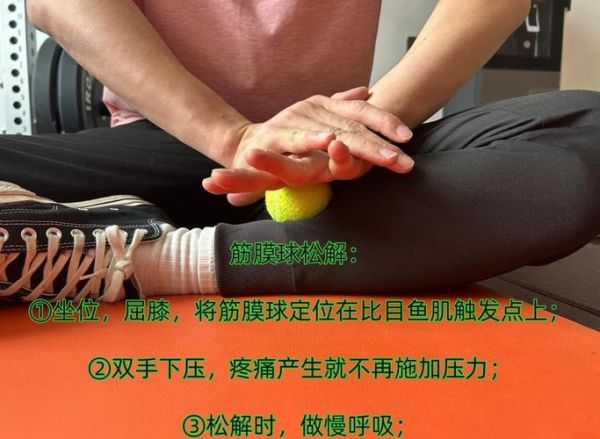 比目鱼肌怎么练_比目鱼肌训练动作-第2张图片-山城妙识 比目鱼肌怎么练_比目鱼肌训练动作-第2张图片-山城妙识