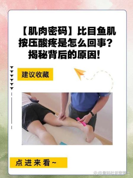 比目鱼肌怎么练_比目鱼肌训练动作-第3张图片-山城妙识 比目鱼肌怎么练_比目鱼肌训练动作-第3张图片-山城妙识