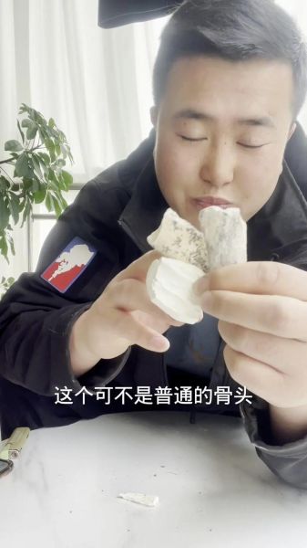 龙骨是什么药材_龙骨图片长什么样-第2张图片-山城妙识 龙骨是什么药材_龙骨图片长什么样-第2张图片-山城妙识