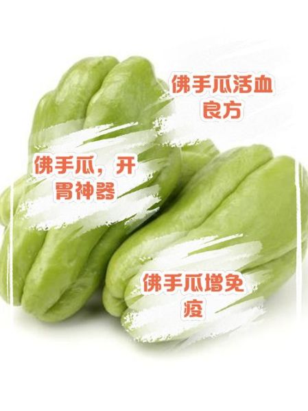 孕妇能吃佛手瓜吗_佛手瓜对胎儿有影响吗-第2张图片-山城妙识 孕妇能吃佛手瓜吗_佛手瓜对胎儿有影响吗-第2张图片-山城妙识