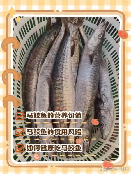 马鲛鱼孕妇可以吃吗_孕期吃马鲛鱼注意事项-第2张图片-山城妙识 马鲛鱼孕妇可以吃吗_孕期吃马鲛鱼注意事项-第2张图片-山城妙识